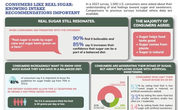 Sugar Infographic Video