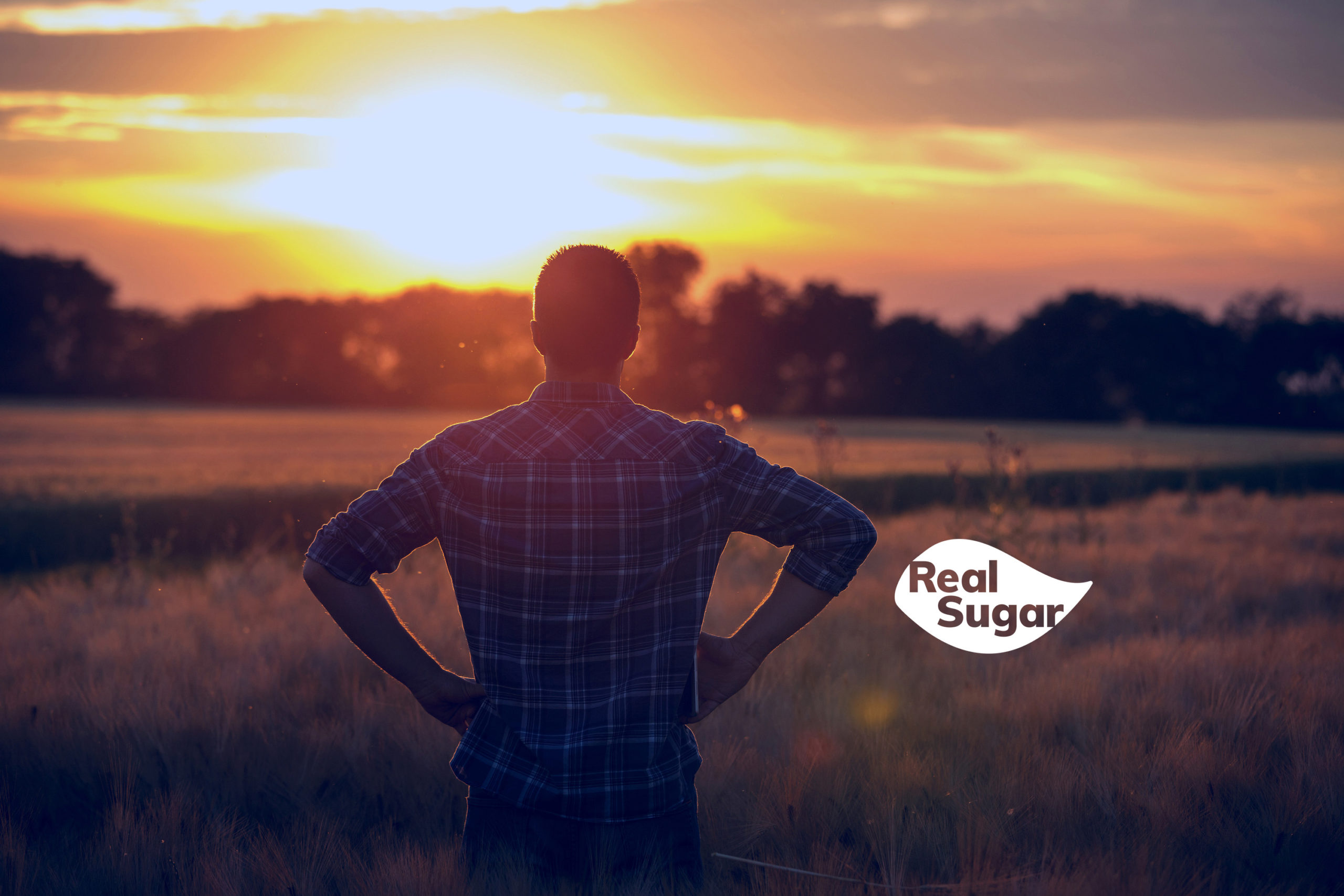 The Sugar Association | There's more to sugar.