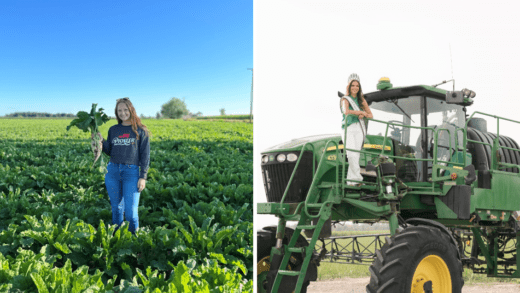 The Sugar Association | There's more to sugar.