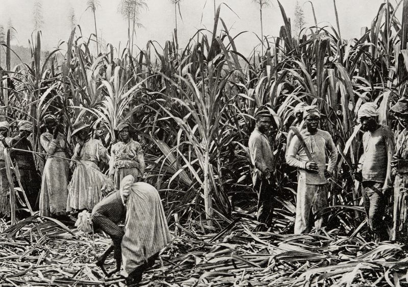 History of Sugar - The Sugar Association