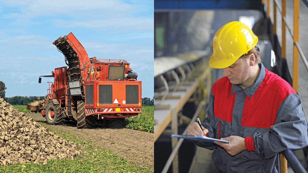 Refining & Processing, What Is Refined Sugar? - The Sugar Association